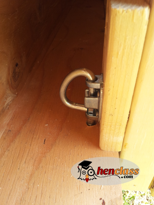 Free Chicken Coop Plan: An Easy 3x7 Coop - Backyard Poultry